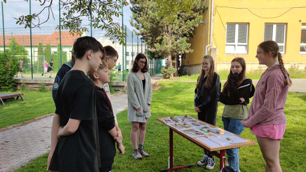 Workshop pro ZŠ | Fotogalerie | Gymnázium Tišnov